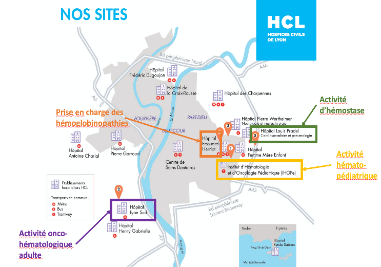 Axe de recherche hématologie | Recherche en santé aux HCL
